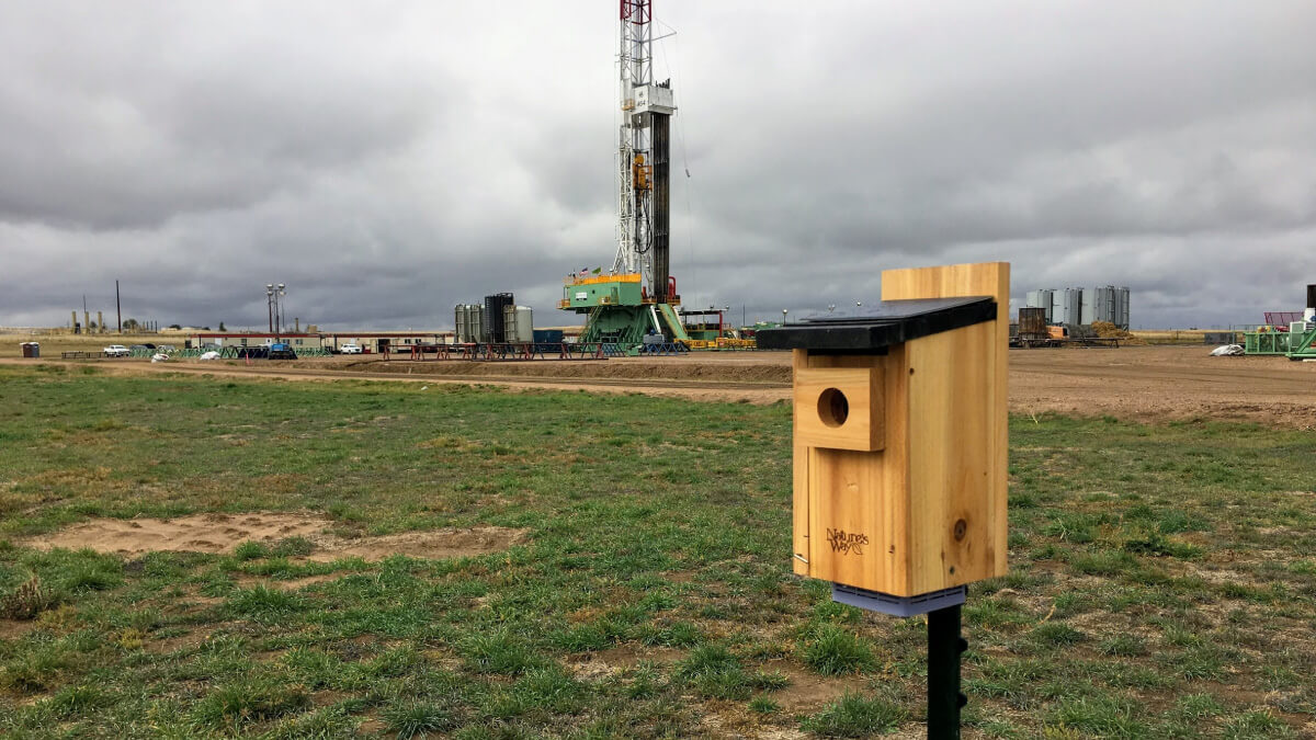 Project Canary Case Study